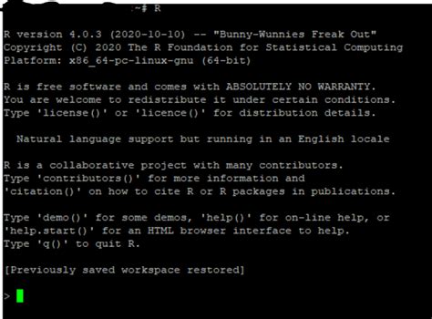 Switching R Version On Ubuntu 22 04 Posit Package Manager Posit