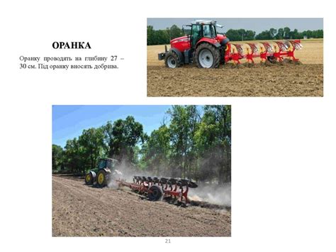 Технологія вирощування соняшника презентация онлайн