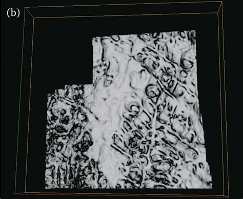 Azimuth Moveout Transformation Some Promising Applications From Western Canada Cseg Recorder