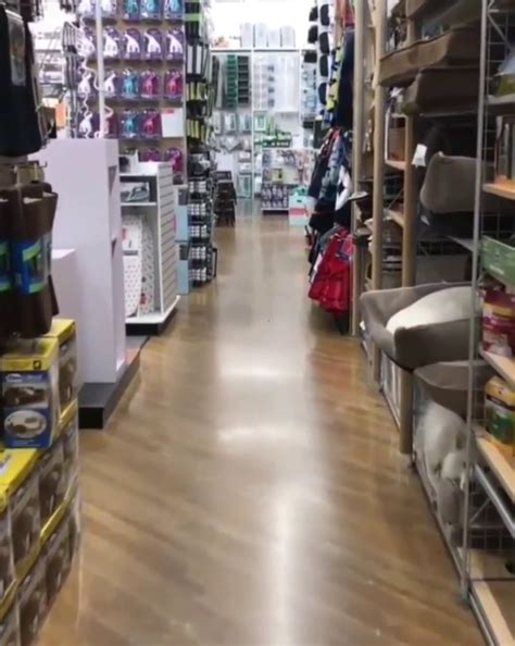 Casual Shopping Via Tumbex