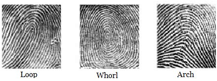 Image Processing With Matlab Fingerprint Introduction