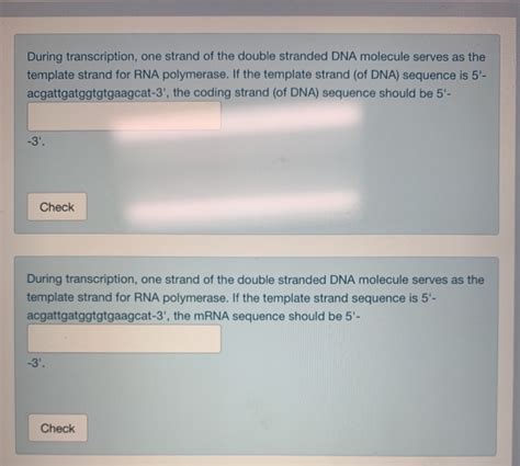 (Solved) - During transcription, one strand of the double stranded DNA... (1 Answer) | Transtutors