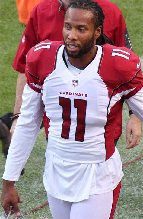 Larry Fitzgerald Wikipedia