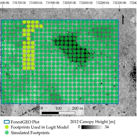 Simulated GEDI Footprint Locations Within The ForestGEO Plot Rendered Download Scientific