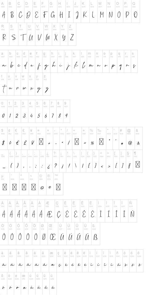 Coastline Calligraphy Script Font