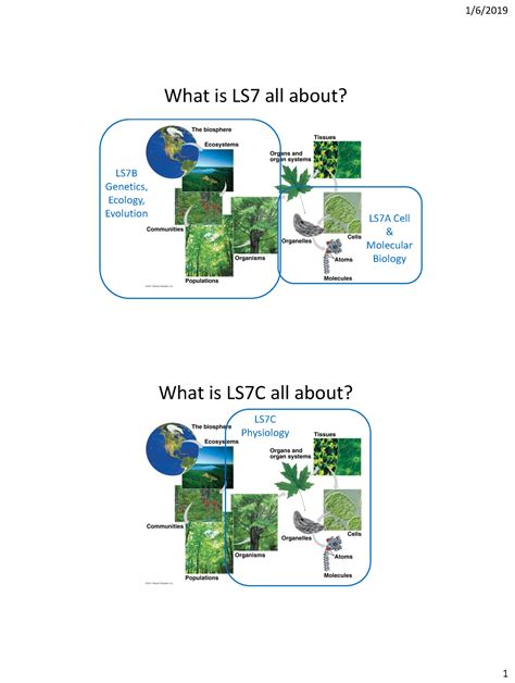 Biolecture 1 Lecture Notes 1 Warning Tt Undefined Function 32 Warning Tt Undefined