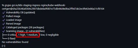 ingress nginx kube webhook certgen image gets flagged as vulnerable