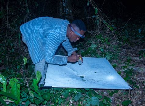 richard awuah on linkedin community research spiders ecology