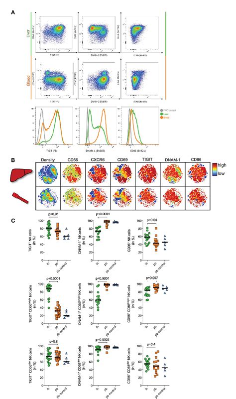 Figure 2 From The Co Inhibitory Receptor Tigit Regulates Nk Cell Function And Is Upregulated In
