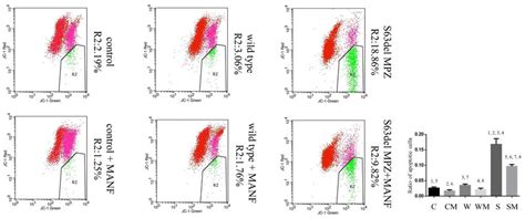 Detection Of The Mitochondrial Membrane Potential Through Flow Download Scientific Diagram
