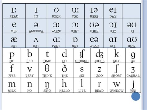 Phonetics Of The English Language Фонетика английского языка
