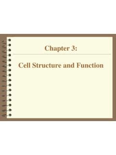 Chapter 3 Cell Structure And Function Chapter 3 Cell Structure And Function Pdf PDF4PRO