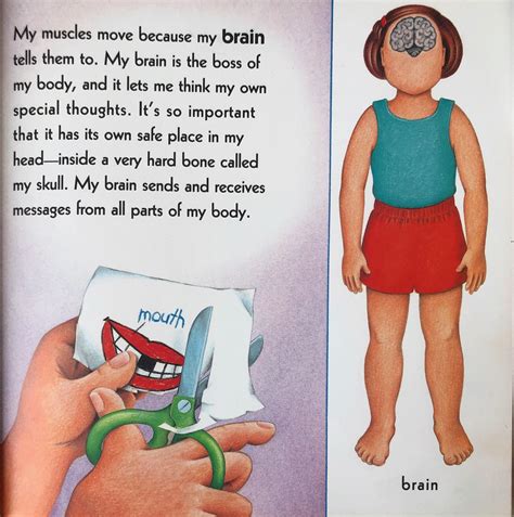 Me And My Amazing Body Josefina Hurtado Page Flip Pdf Online Pubhtml