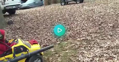 work smarter not harder album on imgur
