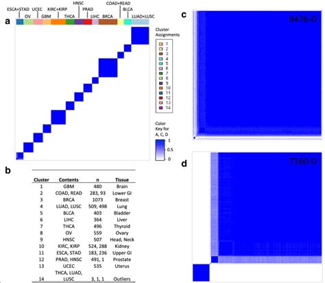 Consensus Clustering Of All Samples A Consensus Clustering Of The Download Scientific