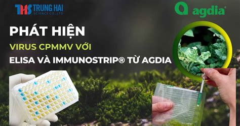 Ng D Ng Iot Trong N Ng Nghi P Vi T Nam Gi I Ph P C Ng Ngh T I U H A S N Xu T Trung H I Agri