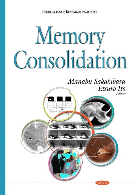 Memory Consolidation Nova Science Publishers