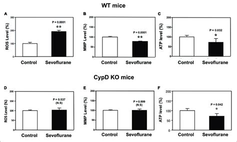 Sevoflurane Induces A Cypd Dependent Mitochondrial Dysfunction In
