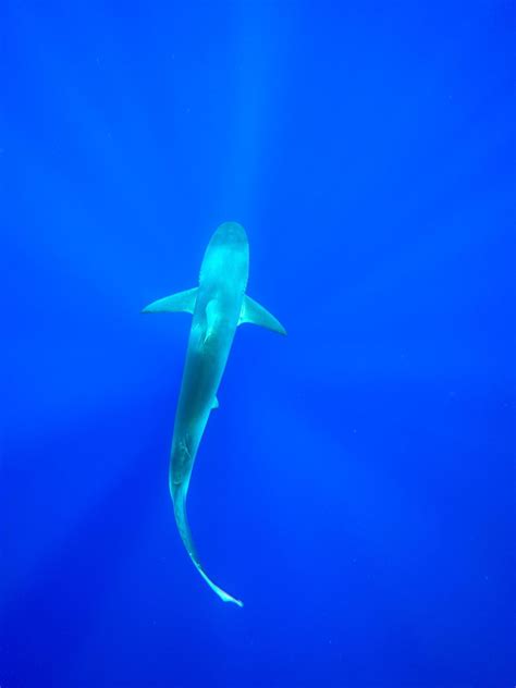 Christopher Langmead On Linkedin Work Hard Play Hard My Job Involves Sitting In Front Of A