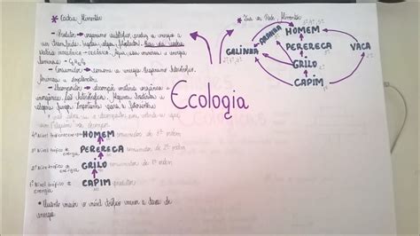 Mapas Mentais Sobre Cadeia Alimentar Study Maps