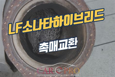 Lf소나타 하이브리드 엔진경고등 점등 촉매교환 정비갤러리 카프로샵