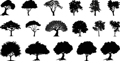 Set Of Tree Collection 48767648 Vector Art At Vecteezy