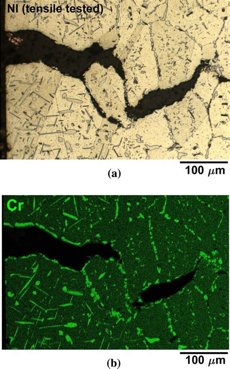 surface cracks formed in ni specimens during room temperature tensile