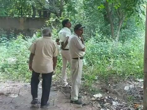Python Entered Bsnls Closed Office बीएसएनल के बंद पड़े ऑफिस में घुसा