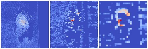 guided backpropagation from scratch with pytorch hooks a data odyssey