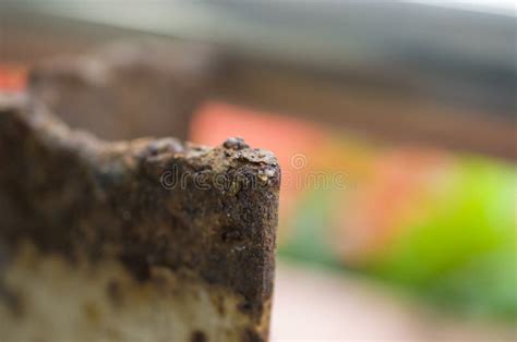 Rust On The Iron That Occurs Naturally Stock Image Image Of Green Damaged 171409293