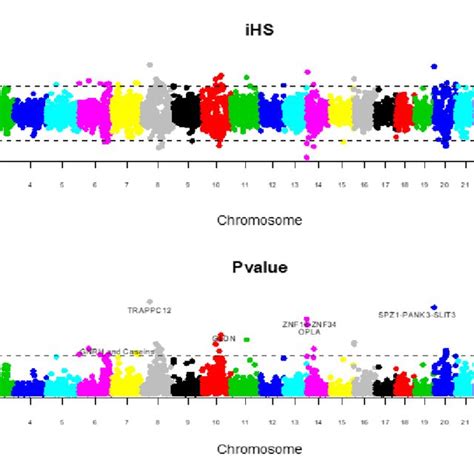 Plot Of The Ihs Magnitude By Chromosome And Associated P Value The Download Scientific Diagram
