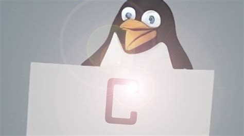The Beginner S Guide To Advanced C Coding In Linux StudyBullet Com
