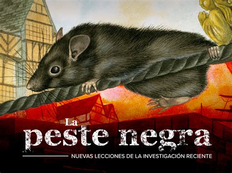Las Ratas De La Peste Negra