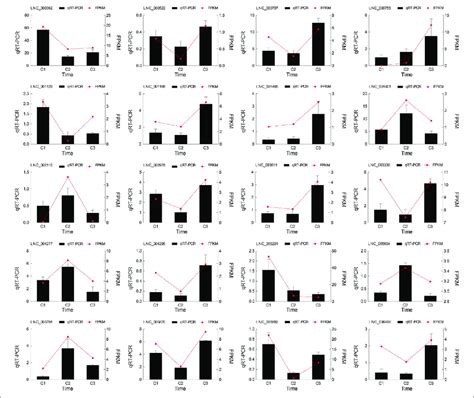 The Comparison Of The 20 Lncrnas Real Time Quantitative Rt Pcr