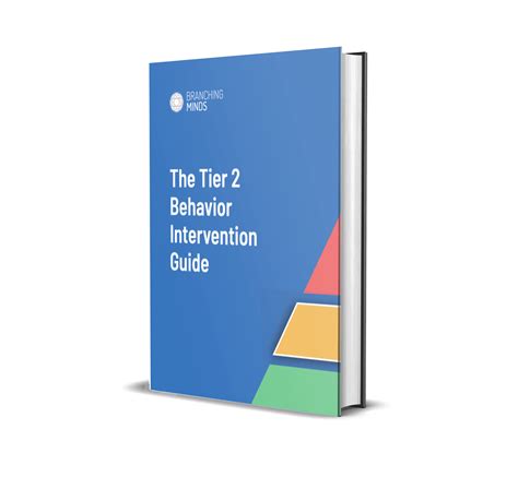 The Mtss Tier 2 Behavior Intervention Guide