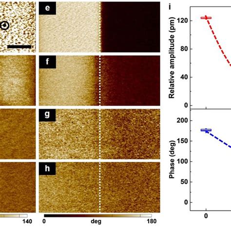 time dependent domain piezoelectric behaviours of the ultrathin polar