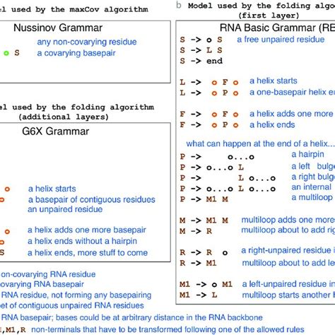 Rna Models Used By The Cacofold Algorithm A The Nussinov Grammar
