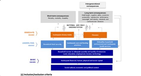 Unicef Conceptual Framework For Causes Of Malnutrition Unicef N D