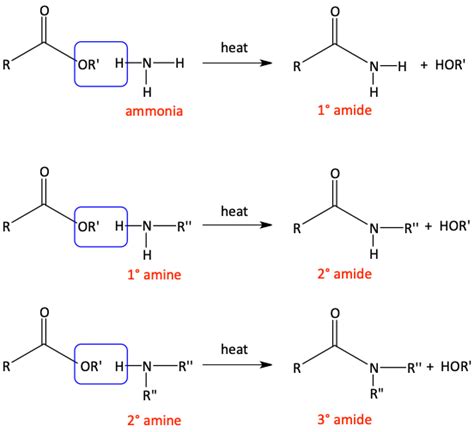 22 06 Amine And Nitrile Reactions Organicchemguide