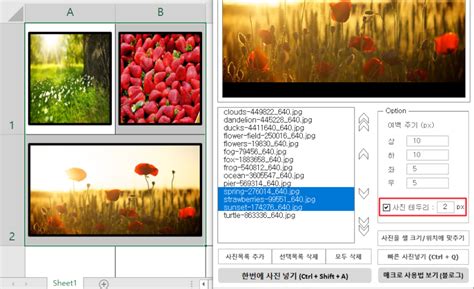 엑셀 사진넣기 매크로 셀크기에 맞게 한번에 엑셀 Vba 네이버 블로그