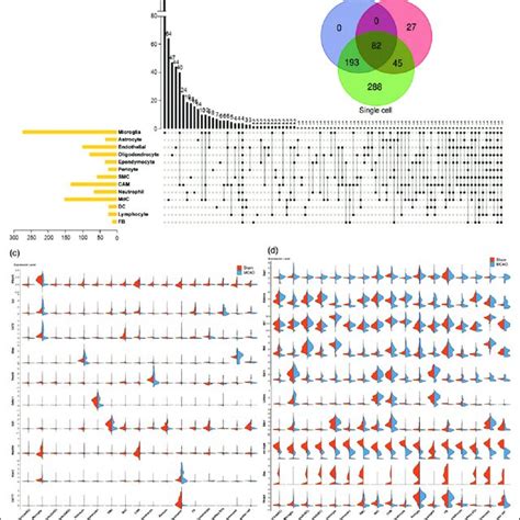 Single Cell Rna Sequencing Of Mouse Brain Recapitulates Transcriptome