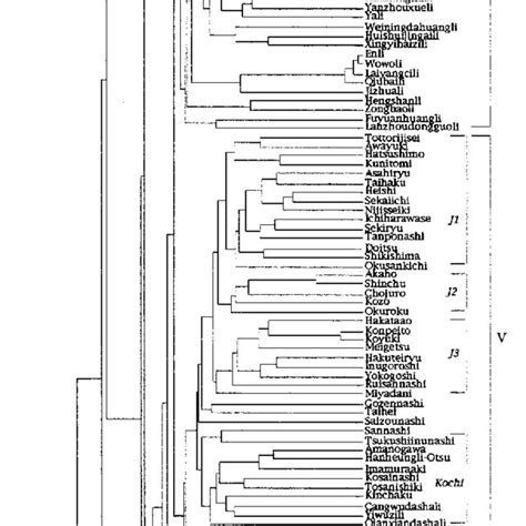 Dendrogram Of 118 Pear Species And Cultivars Resulting From Upgma