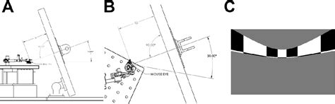 Figure 2 From Allen Mouse Brain Connectivity Atlas Technical White Paper Overview Overview The