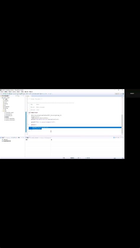 risc v开发板评测 电子发烧友网