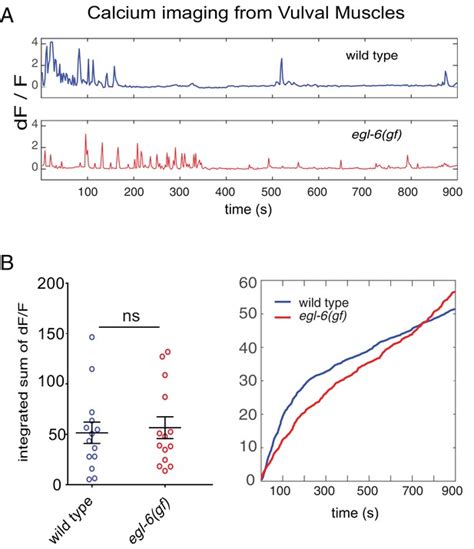 Figures And Data In Inhibitory Peptidergic Modulation Of C Elegans Serotonin Neurons Is Gated