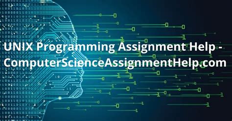 P Programming Language Assignment Help