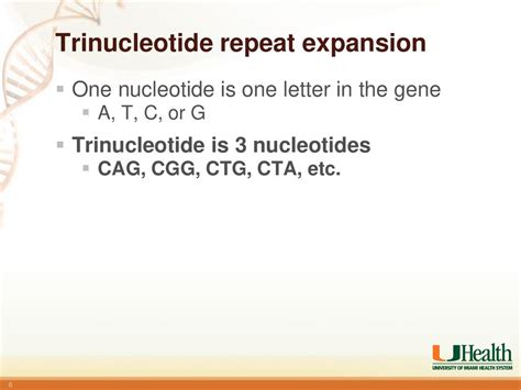 Genetics Of Myotonic Dystrophy Ppt Download