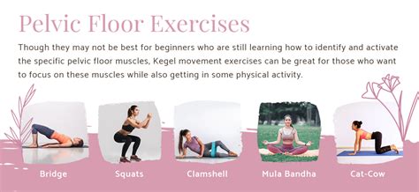Pelvic Floor Exercises For Rectal Prolapse | Viewfloor.co