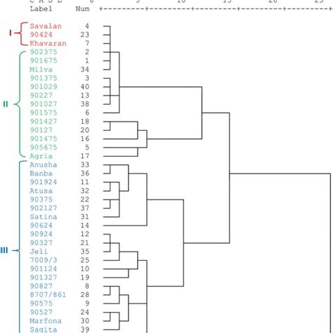 Clustering Dendrogram Of 40 Potato Genotypes Based On Resistance To Download Scientific Diagram