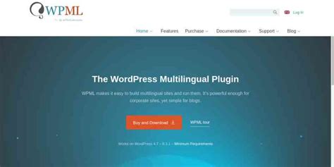 wpml translation management pluginsforwp